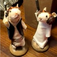 Taxidermy Mouse Pope Francis - Etsy UK