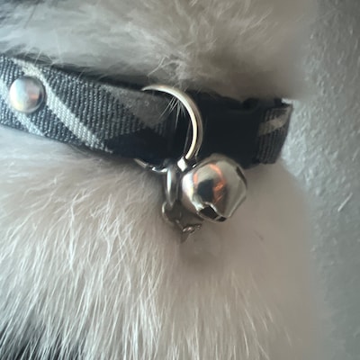 Protective Miraculous Medal Shield With Crown and Stars Gold - Etsy