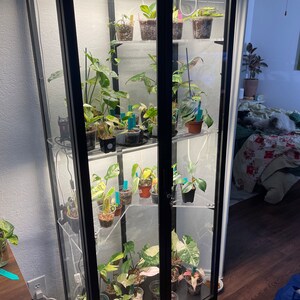 Acrylic Milsbo Tall Shelves 3/8 Thick - Etsy