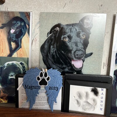 Atlas Moth Free Standing A Finished Embroidery Product Not a Design ...