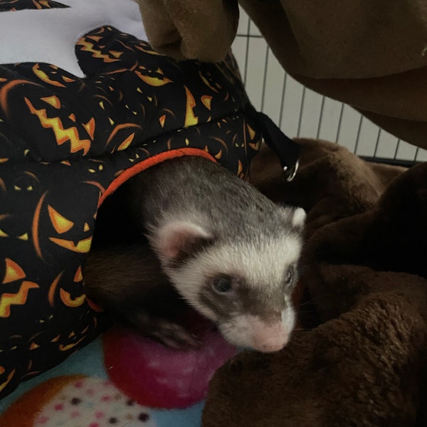 The Cosy Coffin Luxury Halloween Coffin in 3 Sizes, Hanging Cube ...