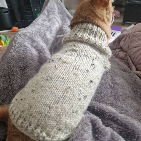 Dog Harness / Dog Collar / Cat Harness / Knitted Harness / Choke Free ...