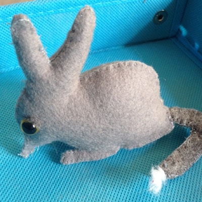 PDF Australian Bilby Felt Animal Pattern: Template and Instructions ...