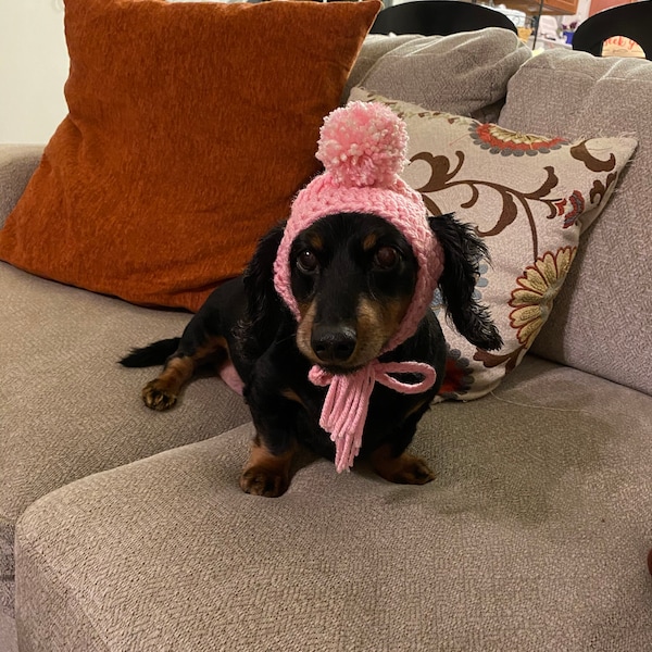 Simba Beanie - Cat Beanie - Dog Beanie | Kitty Beanies - Pupper Beanies ...