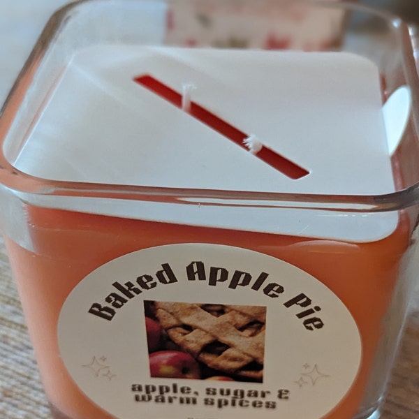 Candle Jar Dust Cover Pack of 30 for Dollar Tree Jar - Etsy