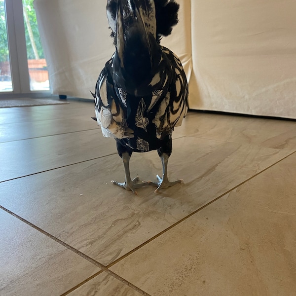 Chicken Diaper/ Hen Diaper/ Rooster Diaper/ Poultry Diaper/standard ...