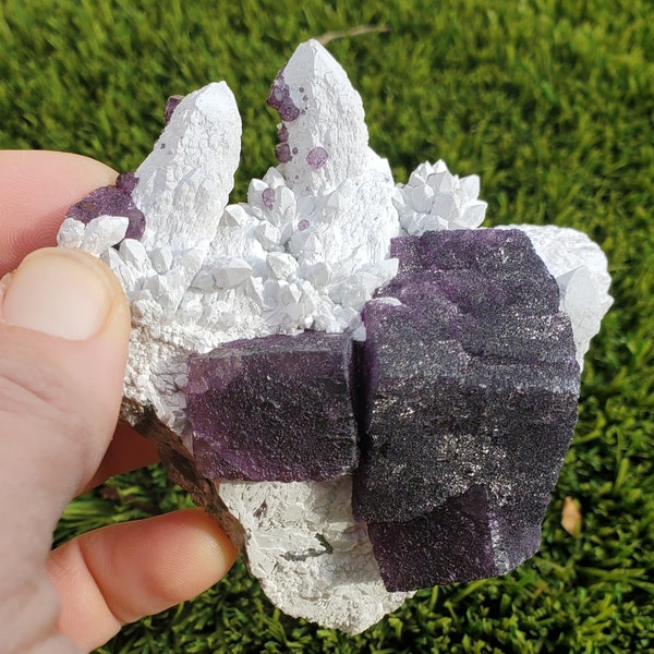 Glassy Stepped Purple Phantom Fluorite Specimen W/ Needle Quartz ...