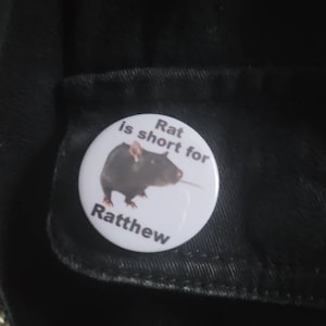 El Gato Meme One Inch Button Badge - Etsy Canada