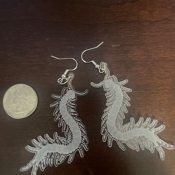 Centipede - Scolopendra - Centipedes - Invertebrates - Arthropod ...