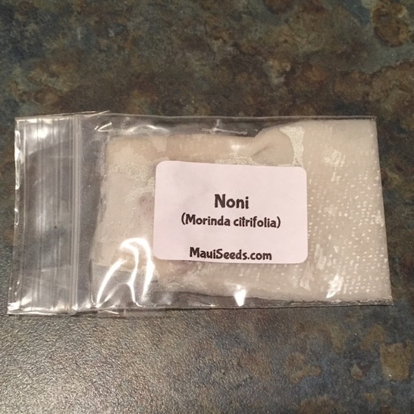 Noni Seeds/morinda Citrifolia/hawaiian Canoe Plant/hawaii Seeds ...