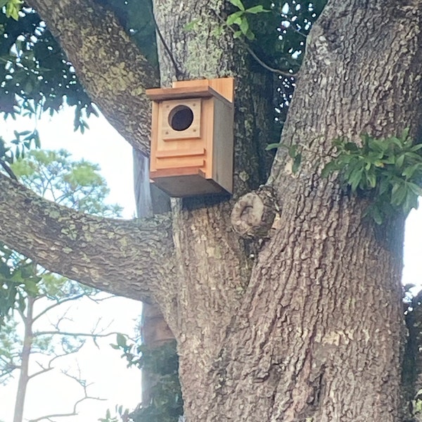 Squirrel Box, House, Cedar Nesting Box, Large Squirrel House, Squirrel ...