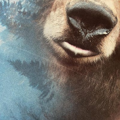 23.5 X 44 I-spy Panel I Spy Patches Pictures Squares Kids Children's ...