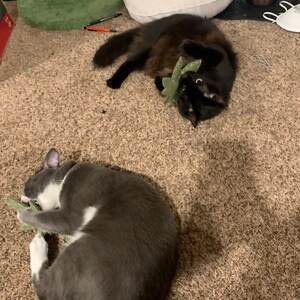 Kuchi Kopi Catnip Toy bobs Burgers - Etsy