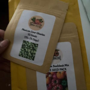 Micro-tom Tomato Seeds Organic - Etsy
