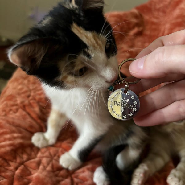 Personalized Dog Tag Engraved With Name and a Whippet Silhouette in a ...