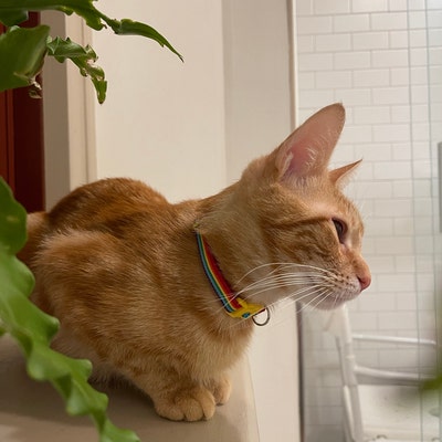 Checkered Cat Collar Black and White Checks Safety - Etsy