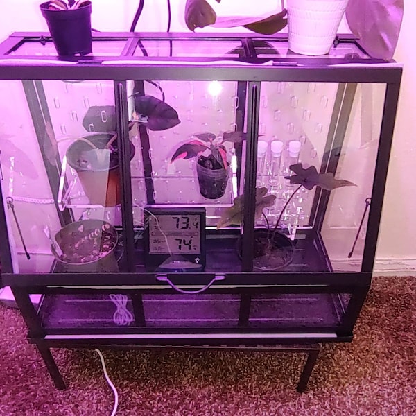 AKERBAR Desktop Greenhouse (17in) Acrylic Pegboard and Shelf Kit for ...