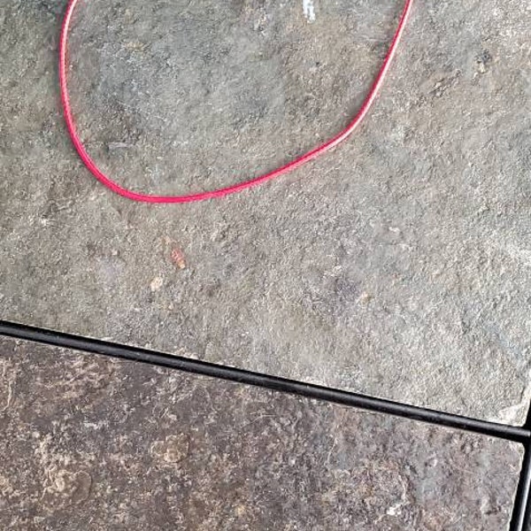 WTF 50, WTF 50th Birthday, Who's Turning 50, 50th Birthday Gift, Custom ...