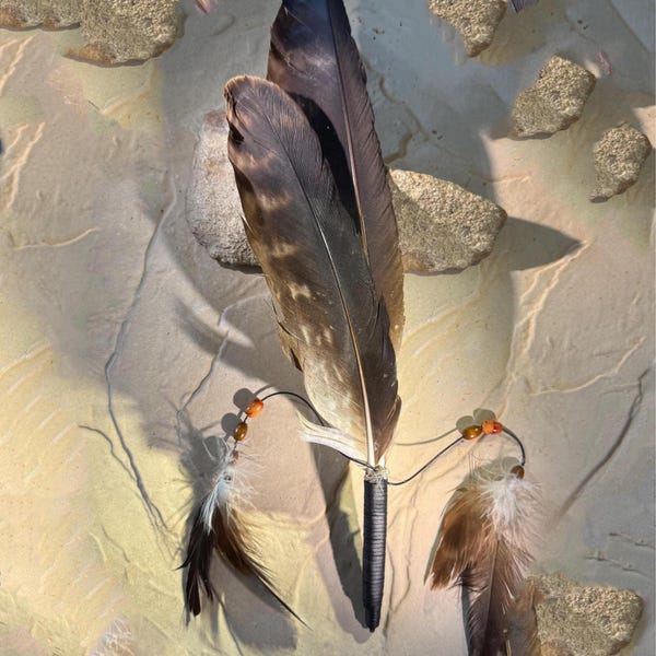 Genuine Wedged Tailed Eagle TAIL Feather WAND, Prayer Feather, SMUDGING ...