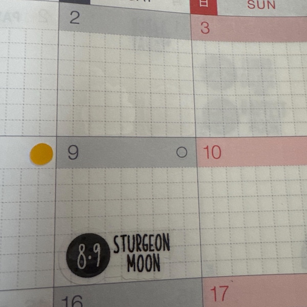 Payment Tracker Post-it Notes | Finance Sticky Notes | Bill Pay Sticky ...