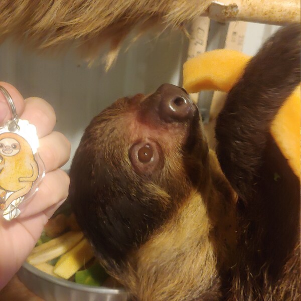 Creepy Moon Watercolor Art Print - Etsy