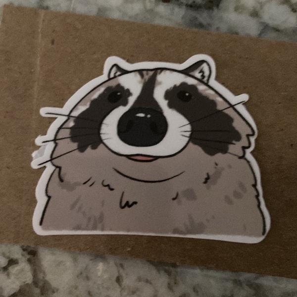 Raccoon Close up | Funny Sticker | Raccoon Sticker | Gifts Under 10 ...