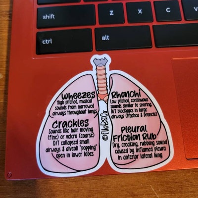 Set of 6 Sterile Processing Tech Stickers Water Resistant Vinyl ...