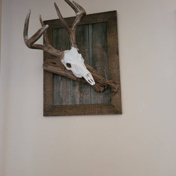 European Mount Plaque - Custom Built - Etsy