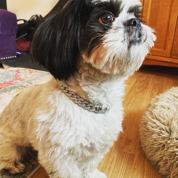 Silver Iced Out Cuban Link Dog Chain/ Custom Dog Chain, Handmade Dog ...