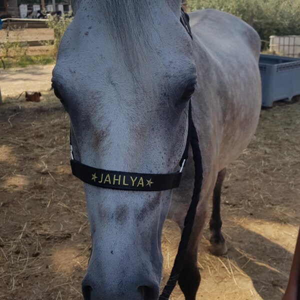 Embroidered Horse Fleece Blanket / Personalized Fleece Rug / Sweat Rug ...