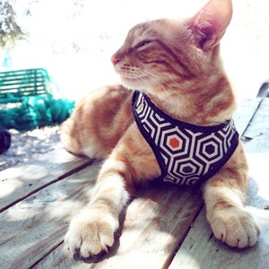 Kitty Fleece Jacket: Digital PDF Pattern - Etsy