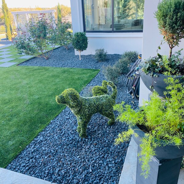 Meet Cooper the Playful Pup- Fun, Faux Plant, Topiary Dogs! Enhance ...