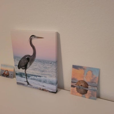 Seashell Photography, Shell Photo, Beach Decor, Fine Art Print, Coastal ...