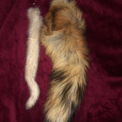 Real Fox Tail, Fox Tail, Fox Tails, Red Fox, Red Fox Tail, Fox Fur ...