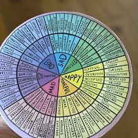 Feelings Wheel Pin, Emotions Wheel, Mental Health Pin, Therapy Tools ...