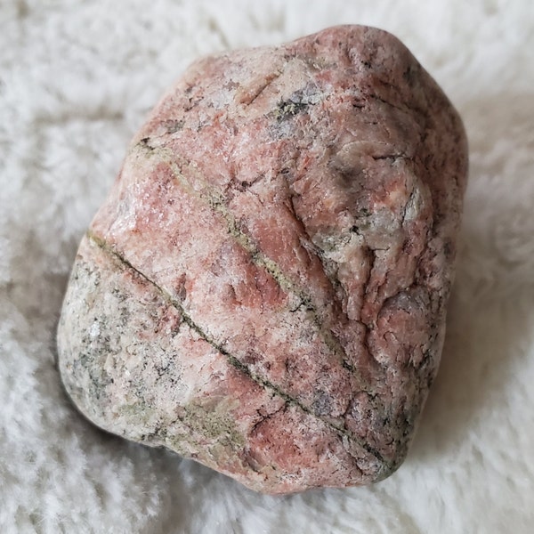 Oolitic Agatized Fossil Pseudomorph, Silicified Coral or Sponge Fossil ...