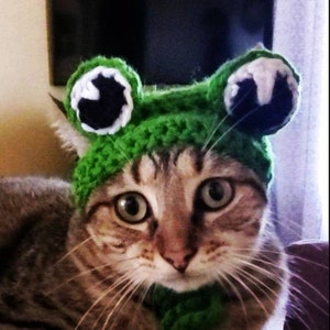 Frog Hat for Cats, Funny Feline Frog Accessory / Costume, Frog Hat With ...