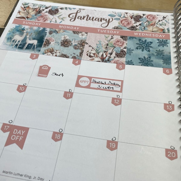 Printable JANUARY Planner Stickers, January Monthly Stickers Kit, for ...