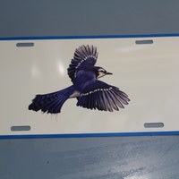 Only Chevy's Car Decal Onlychevy's Truck Decal Sticker - Etsy