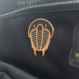 Trilobite Foil Rose Gold Vinyl Sticker - Etsy