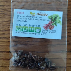 LOLLO ROSSO Loosy Leaf Lettuce 1000 Seeds Vegetable - Etsy