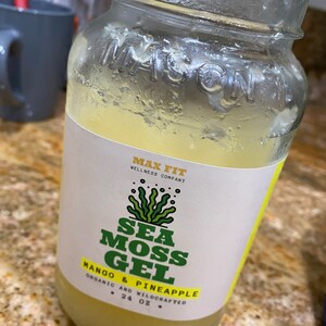 Organic Pure Sea Moss Gel Wildcrafted Irish Seaweed Moss - Etsy
