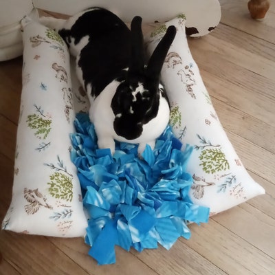 Bunny Rabbit Snuffle Mat, Foraging Blanket, Stimulation Treat Toy ...