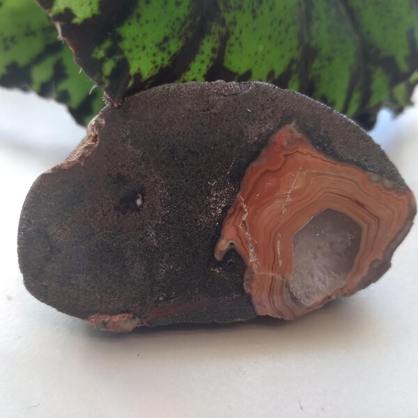 I LICK ROCKS Sticker | Funny Rock Stickers | Taylor's Rocksmithery - Etsy