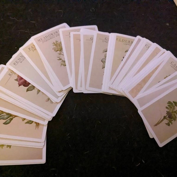 Apothecary Reference Cards ~ Herbal Index Flash Cards ~ Medicinal Herbarium ~ Wicca Witchcraft ...