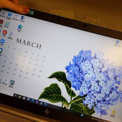 Fancy Florals Desktop Wallpaper 2024 Calendar, Computer Background, PC ...