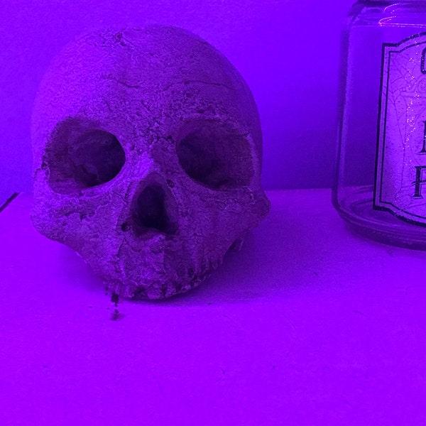 Human Half Skull Ancient Decrepit Bone Statue Decayed Rotted Prop ...