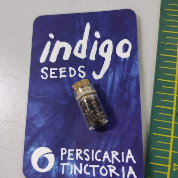 Weld Seeds : Yellow Natural Dye Plant - Etsy