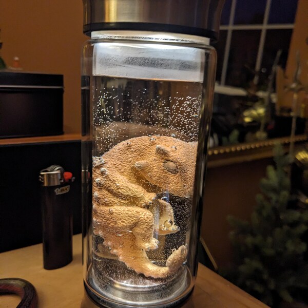Jurassic Park Dinosaur Embryo Jar Jurassic World Velociraptor Blue ...