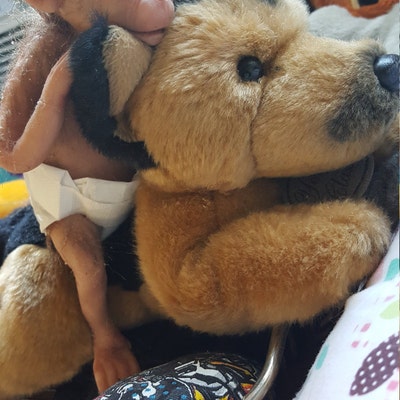 Mini Monkey Capuchin. Silicone - Etsy